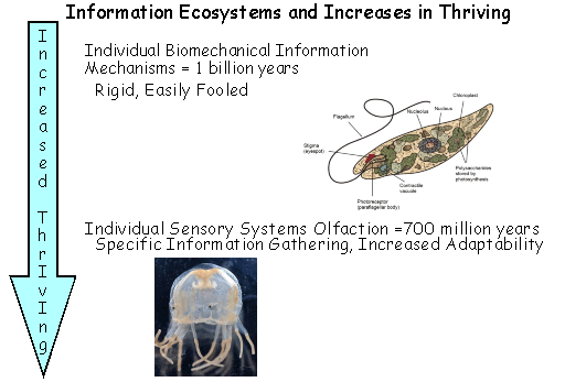 Information Ecosystems Lecture